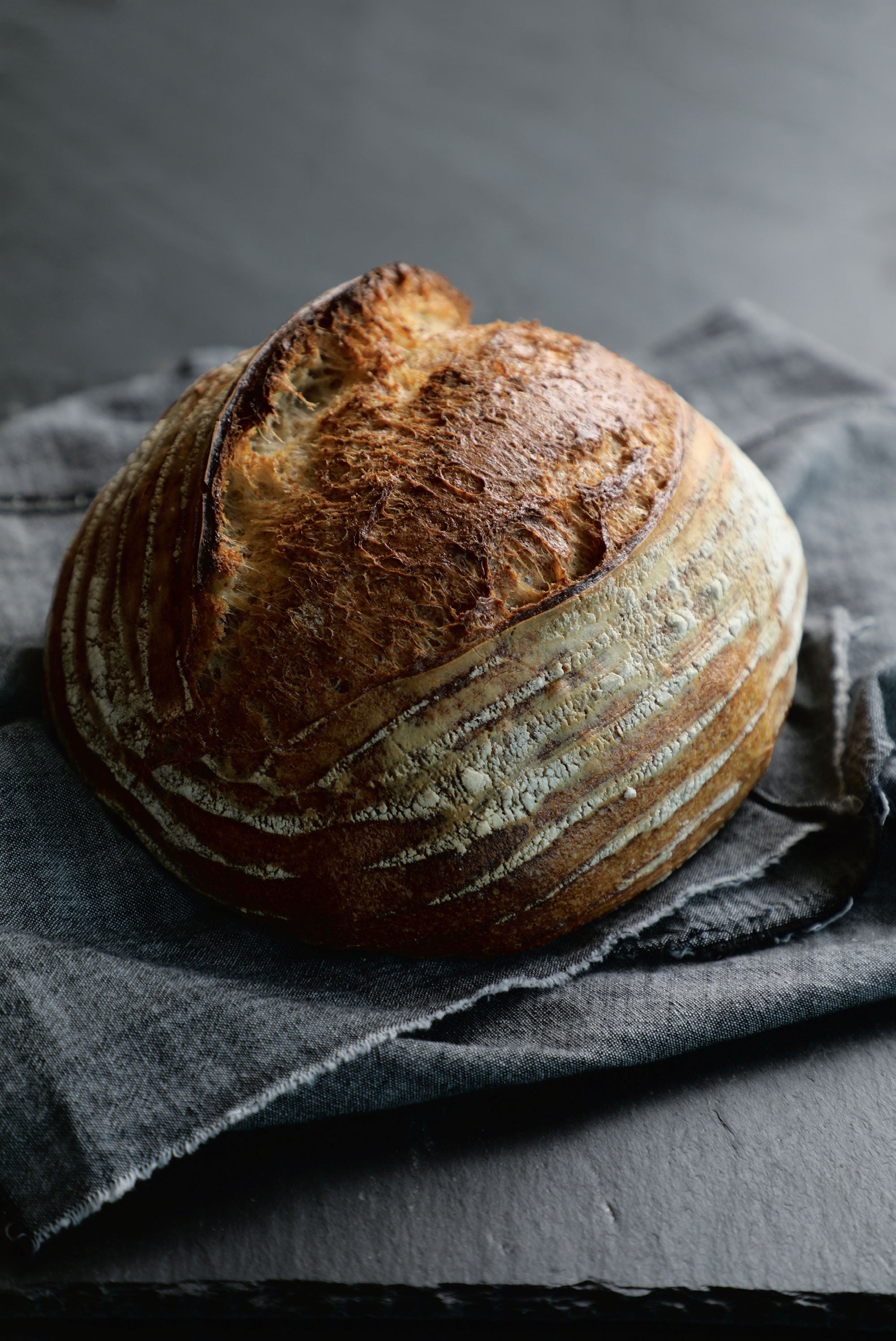 Artisan Cabin Bread | Penguin Random House Canada