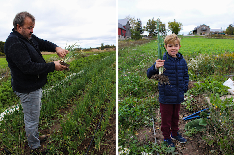 Shelf-Love: Jeff Crump & Bettina Schormann | Penguin Random House Canada